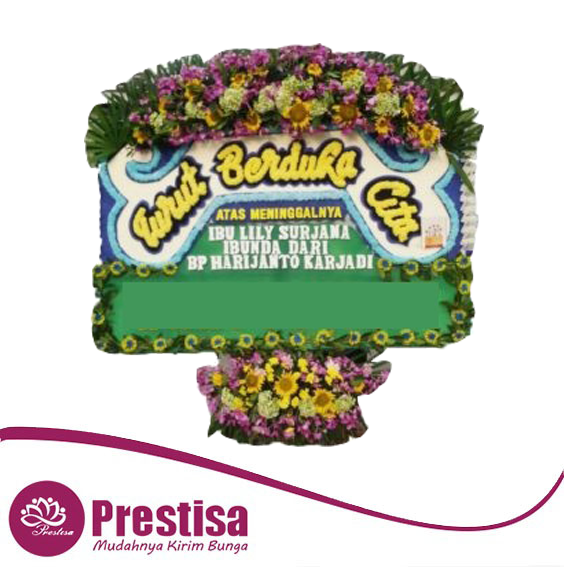 BP-DC-BDG 435 - Prestisa.com